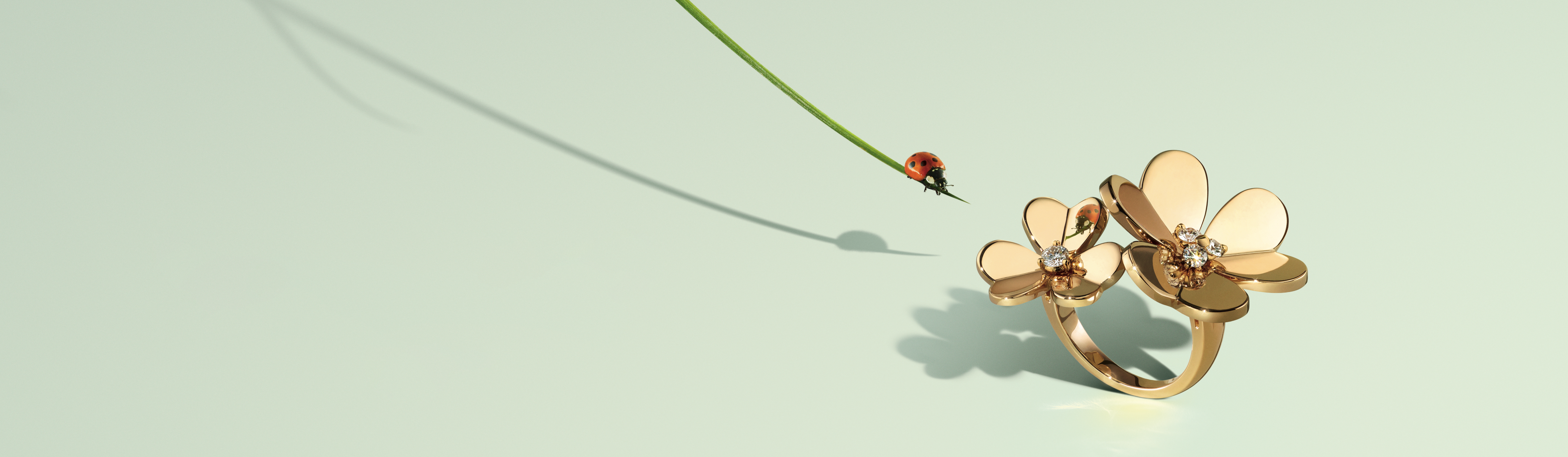 Sales Associate, Abu Dhabi, United Arab Emirates | Richemont Careers